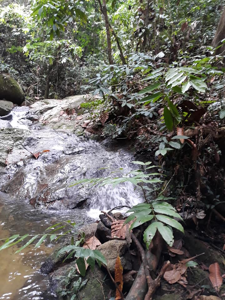 Kem Bayu Rimba - Camping and RV Portal for Malaysia